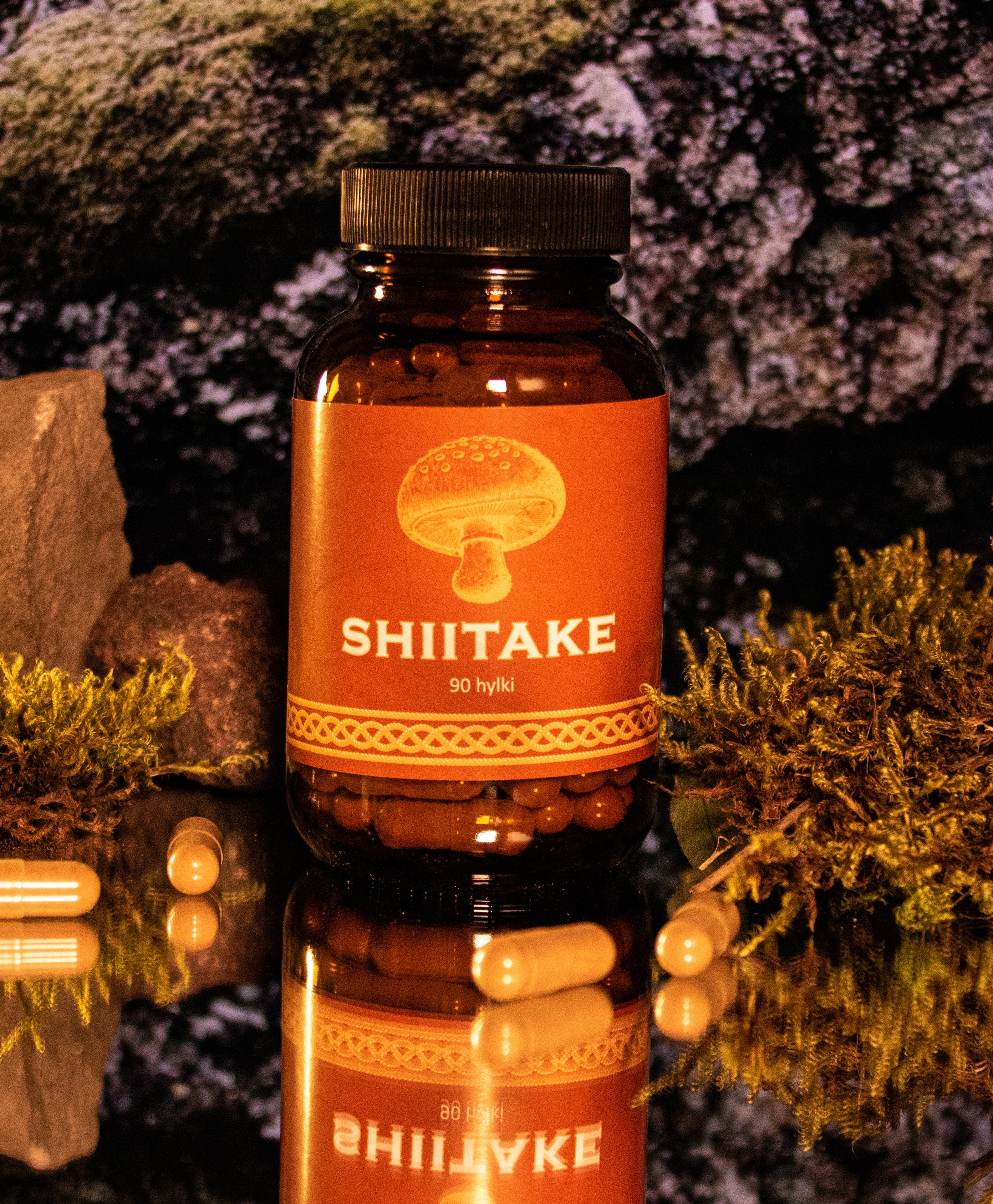 Shiitake – Ingling