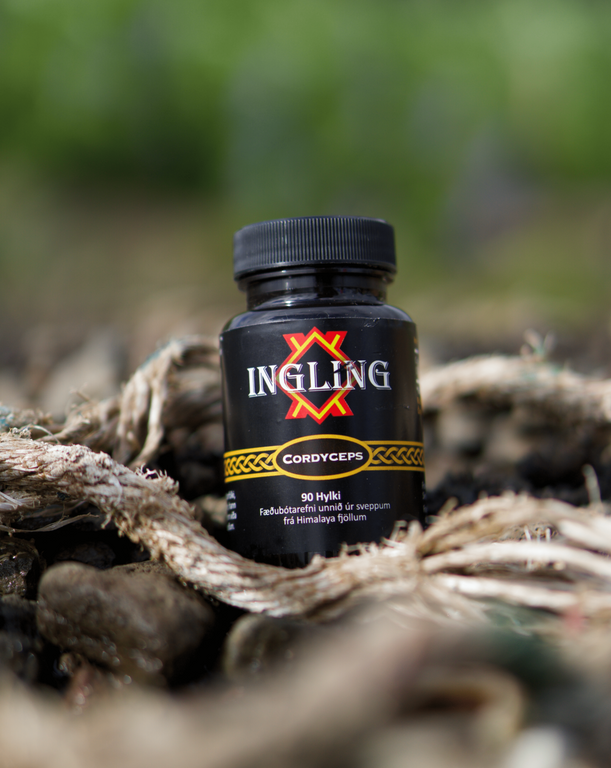 INGLING – Ingling